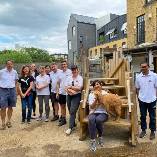 Vauxhall City Farm